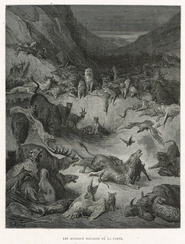 Animais doentes da peste | Gustave Dore | Impressão de arte