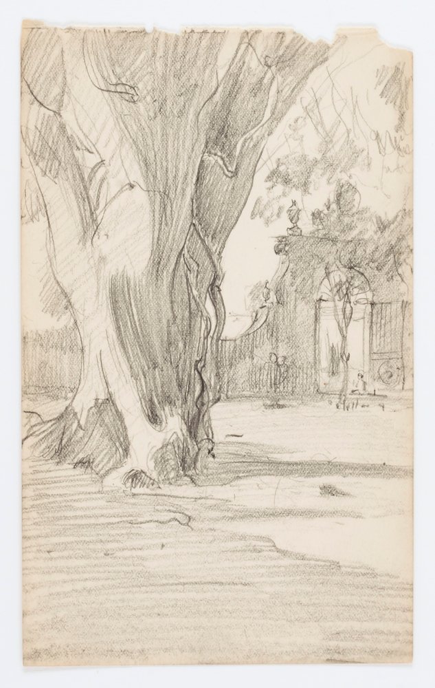 Sem título (Tronco de árvore com portão)