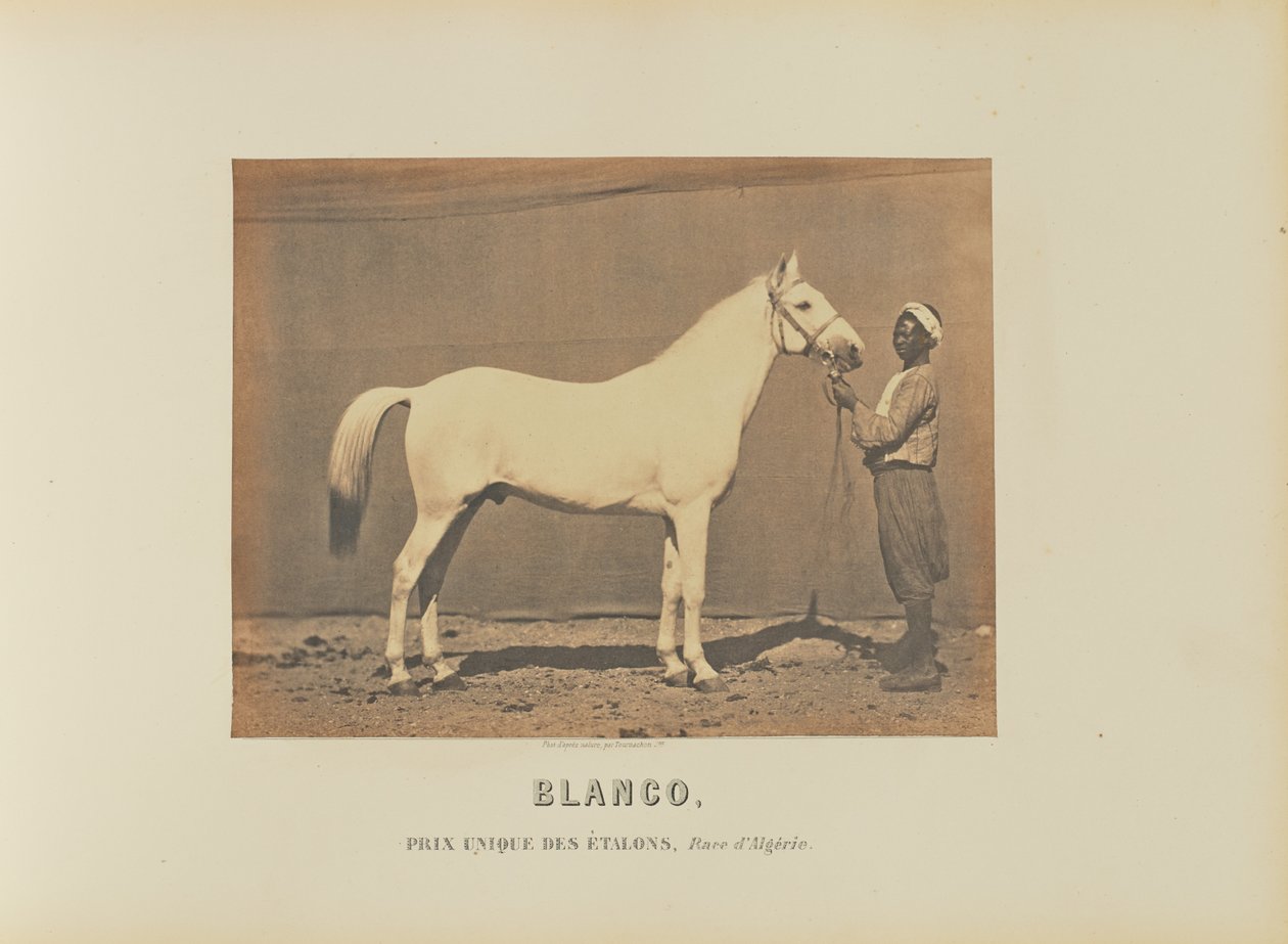 Blanco | Adrien Alban Tournachon | Impressão de arte