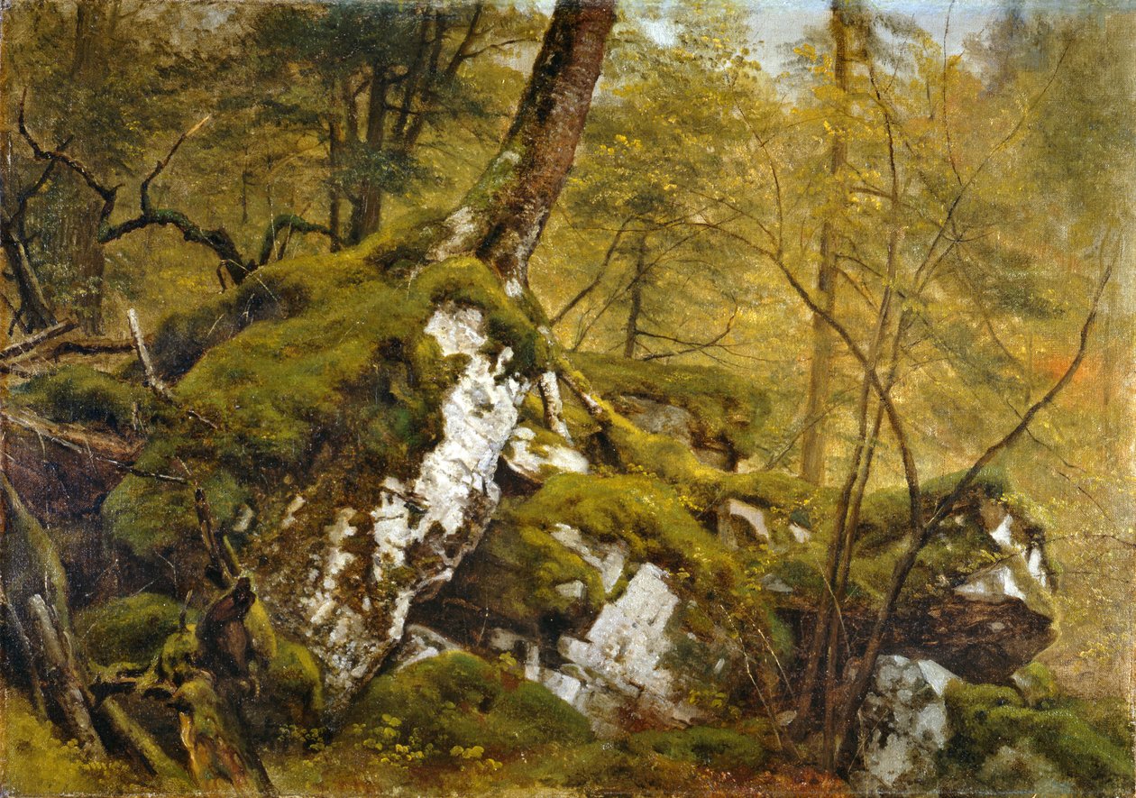 Estudo de um interior de madeira, c.1855