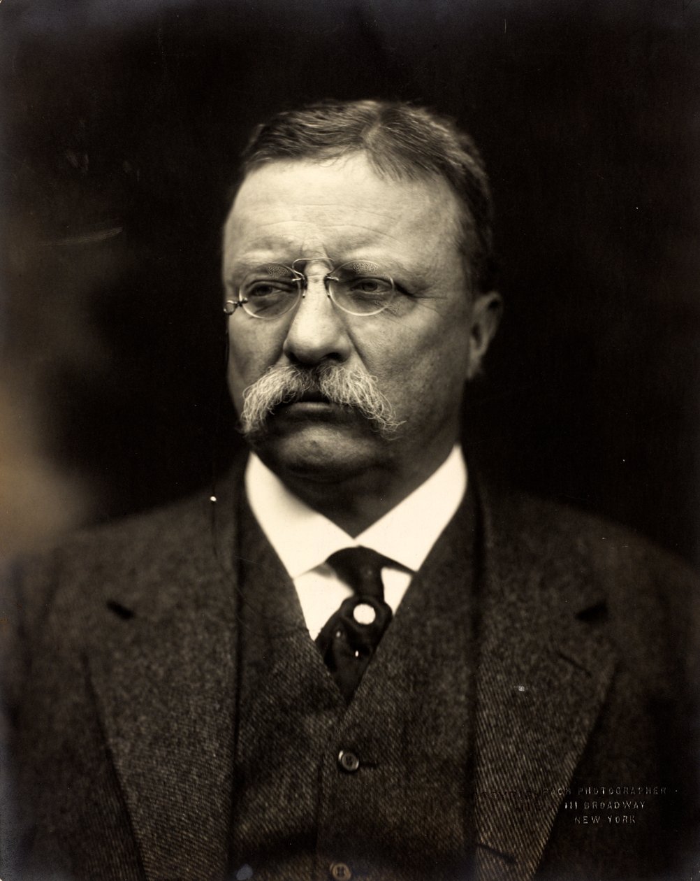 Jovem Theodore Roosevelt Em Cores Visite Parque Nacional De Theodore