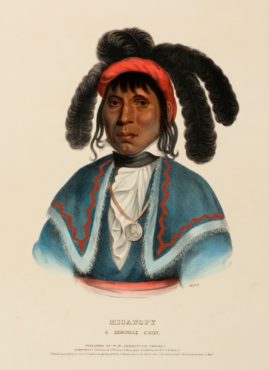 MICANOPY. A SEMINOLE CHIEF, de History of the Indian Tribes of North ...