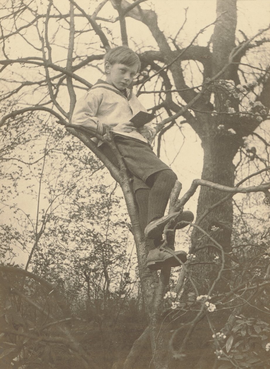 [Evan Evans] | Frederick H. Evans | Impressão de arte