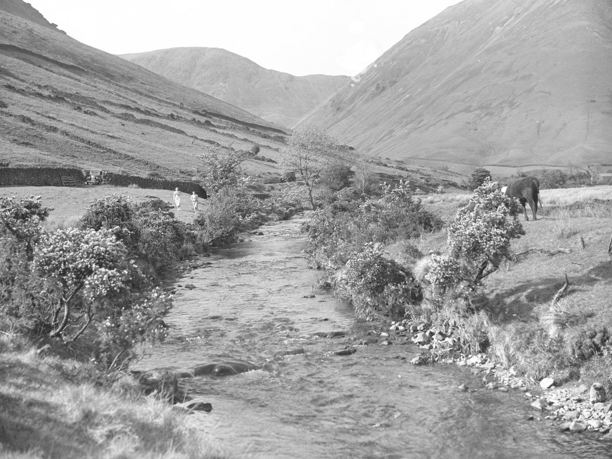 Um riacho que atravessa a paisagem de Wastwater