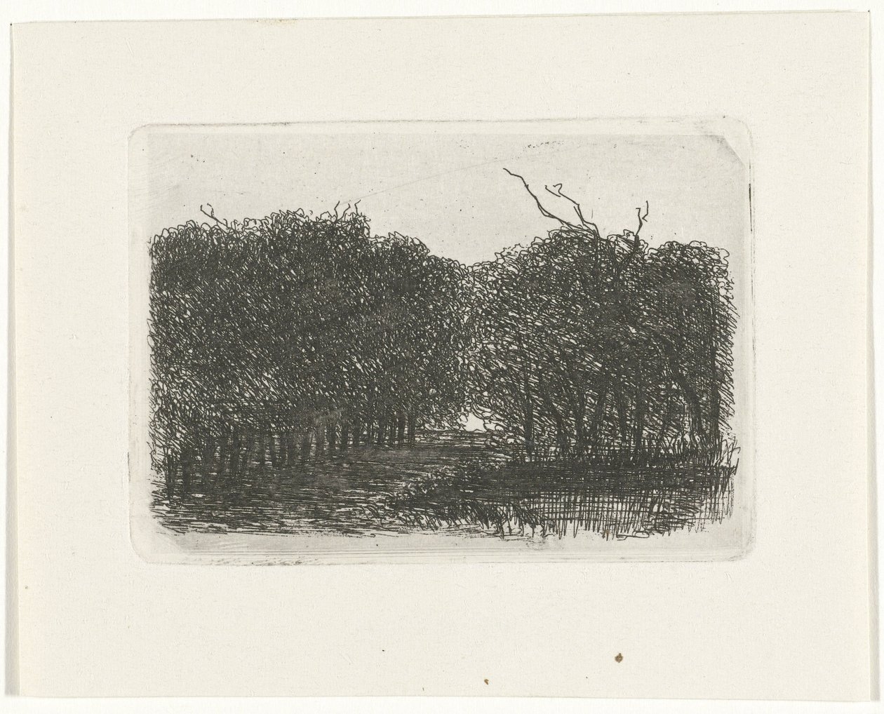 Vista da floresta | Joseph Hartogensis | Impressão de arte