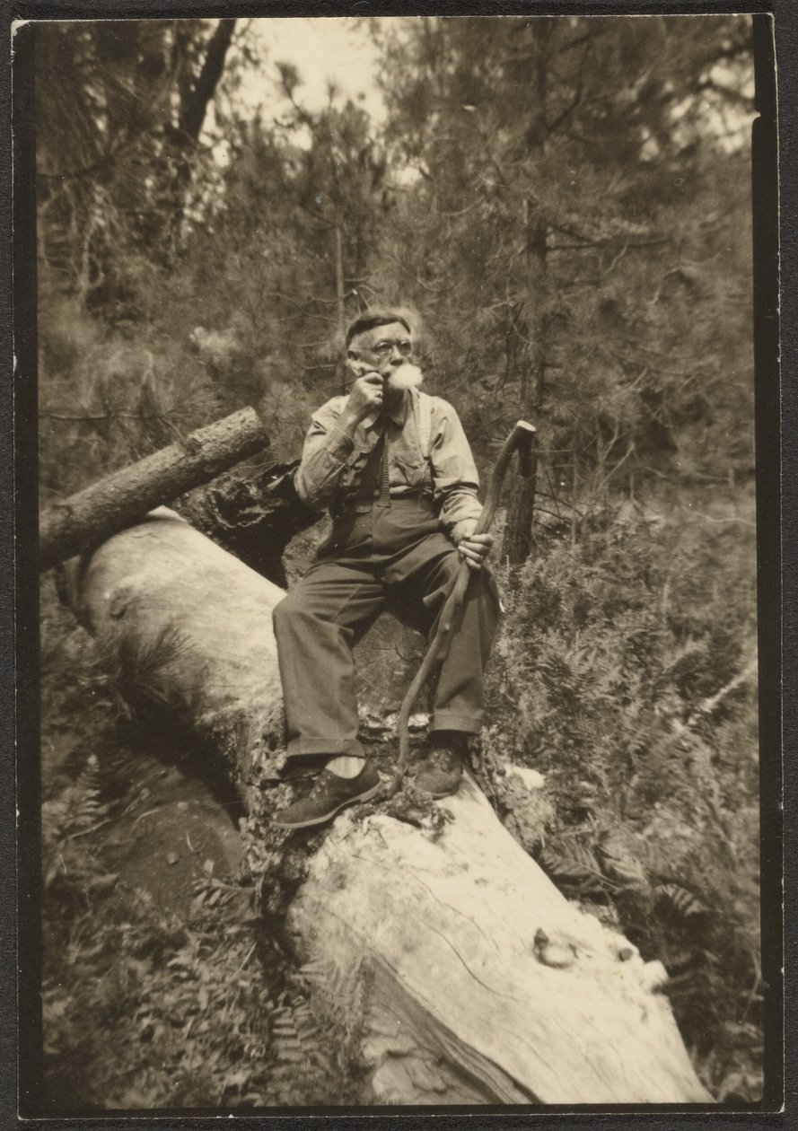 [Fleckenstein num tronco] | Louis Fleckenstein