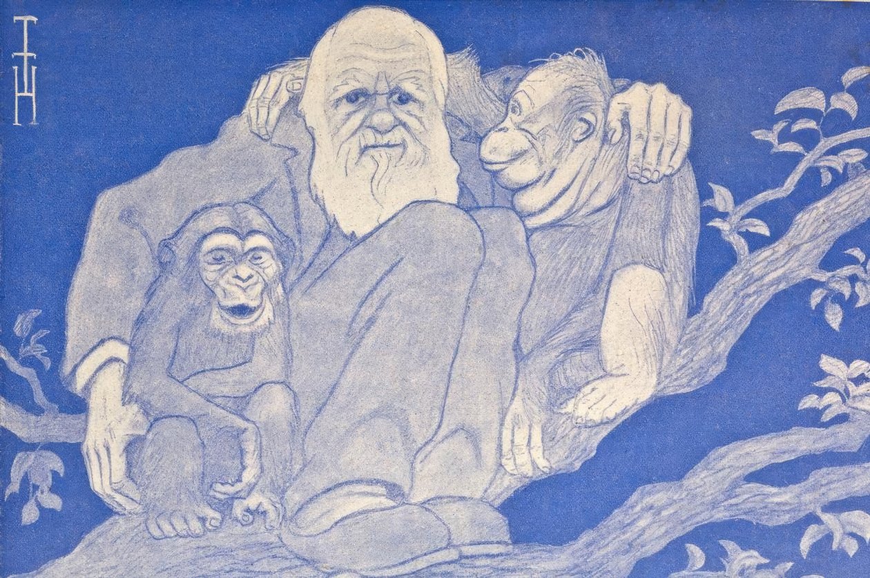 1909 desenhos animados Darwin com detalhe de macaco