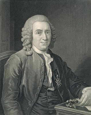 Retrato de Carolus Linnaeus | Alexander (after) Roslin
